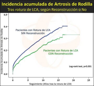 Artrosis o «desgaste» de Rodilla. Tipos, Incidencia, Factores de Riesgo ...